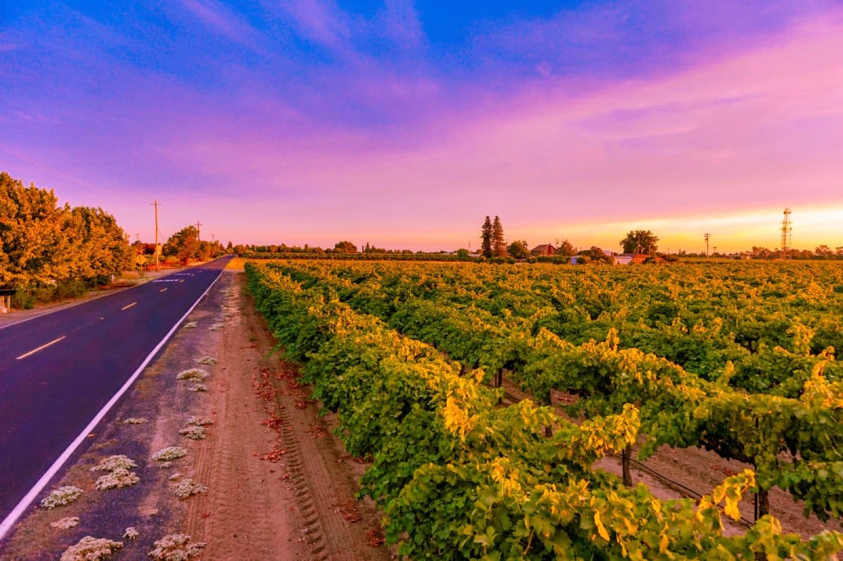 Top 21 Must-Visit American Wine Regions - Passing Thru - For the ...