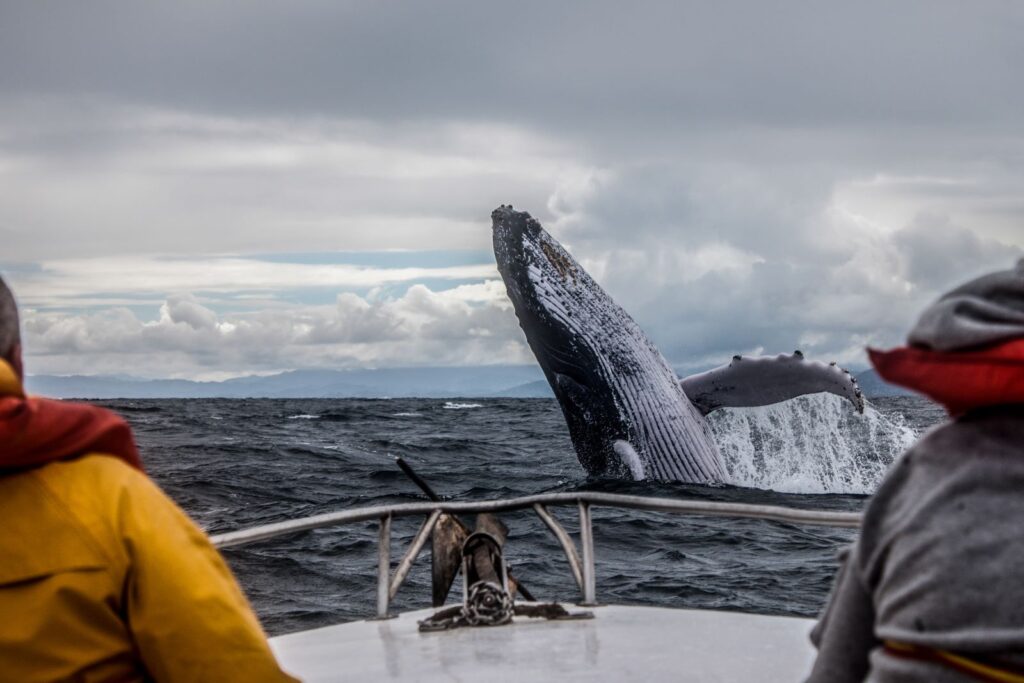Why Anchorage Should Top Your Labor Day Travel List - Passing Thru ...